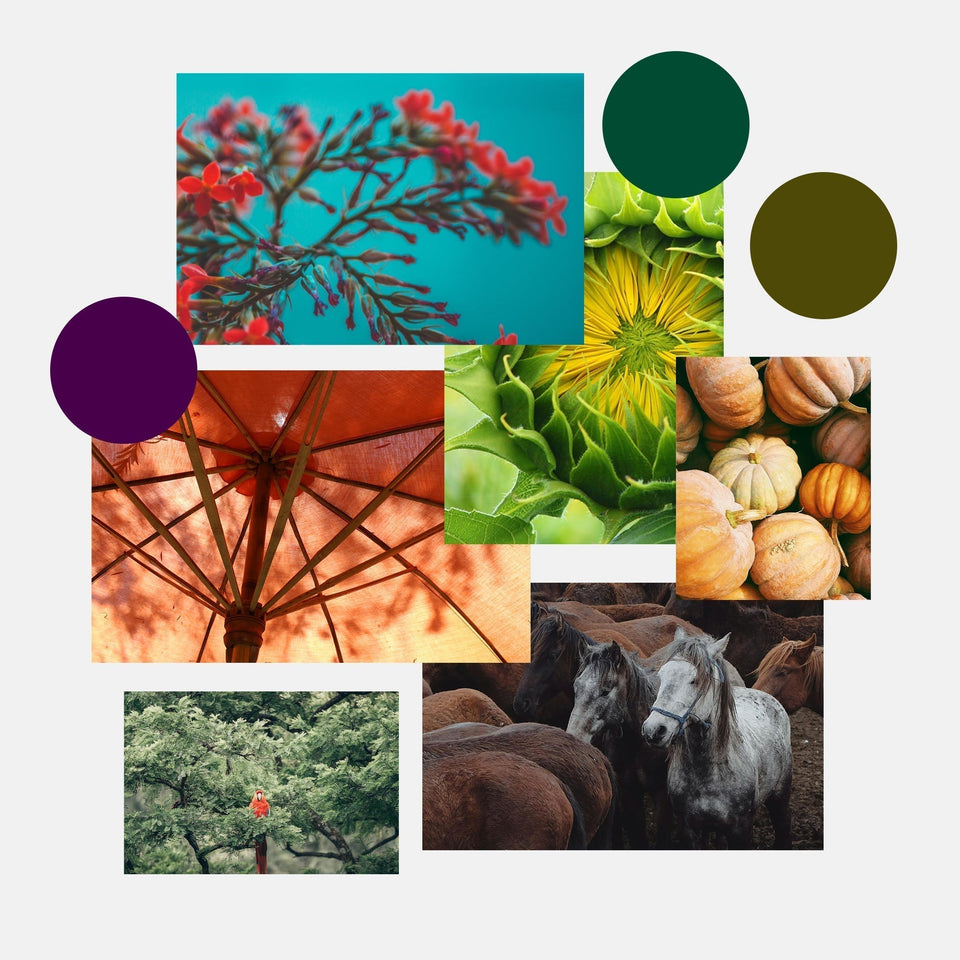 The Different Seasonal Sub-Types of the Autumn Palette – Kettlewell-US